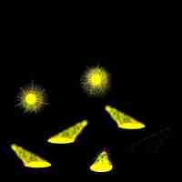 Smelly Helly Home Page